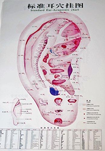 AcuSource Acupuncture Charts. Seven Visually AcuSource