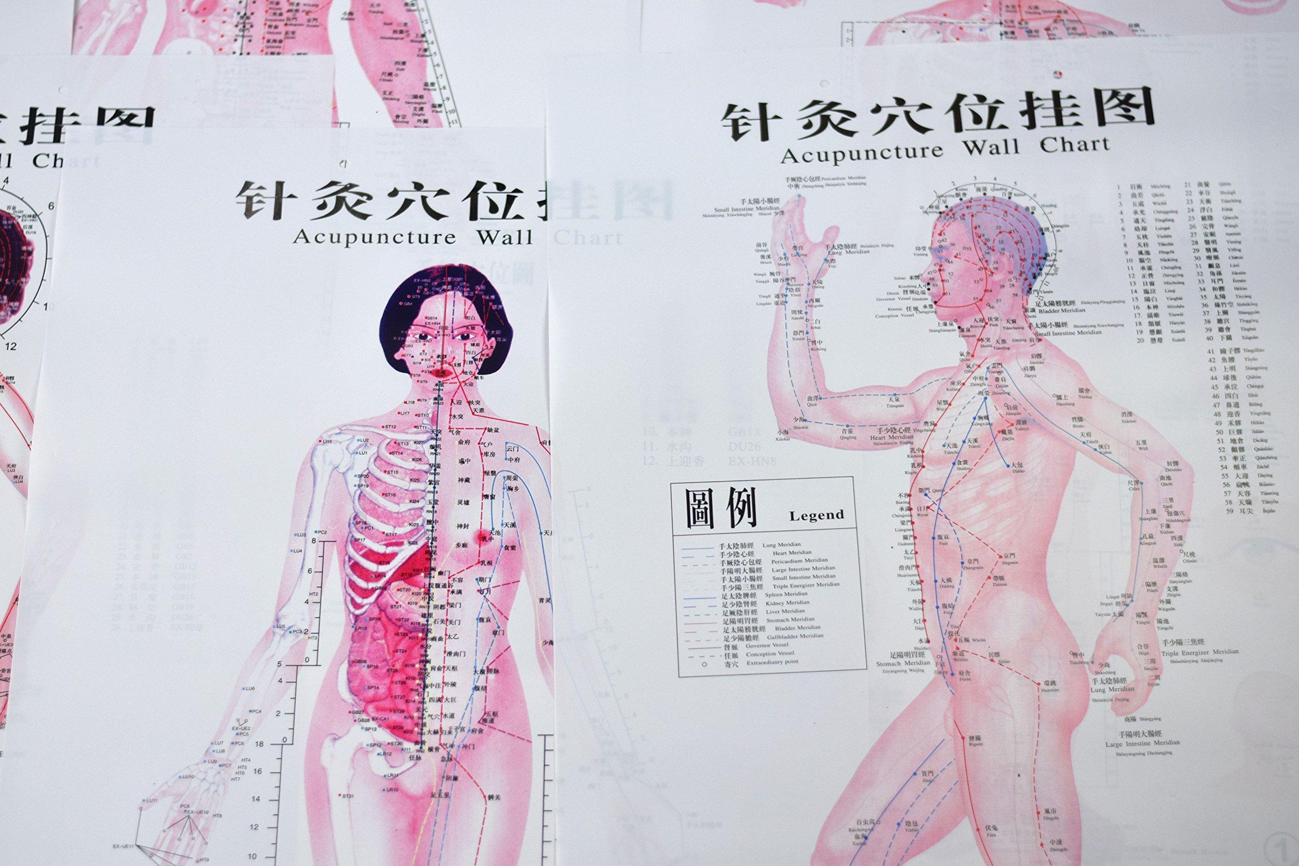 AcuSource Acupuncture Charts. Seven Visually AcuSource