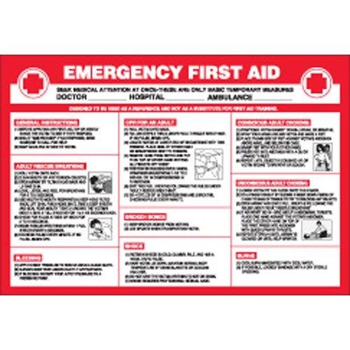 Brady 105625, 20" x 29" Emergency First Aid Wall Brady