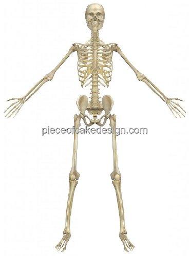 6" Round ~ Skeleton Spread Arms Birthday ~ Edible Cake/Cupcake Topper!!!
