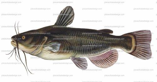 8" - Black Bullhead Fish Birthday - Edible Cake/Cupcake Topper