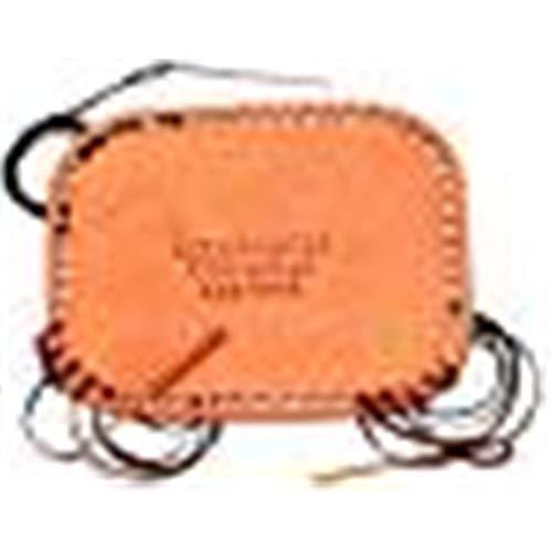 Allen Cognitive Level Screen